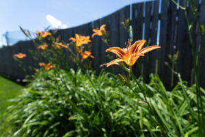 How to Use Auto Exposure Bracketing (AEB) on Canon Cameras – One Hour ...