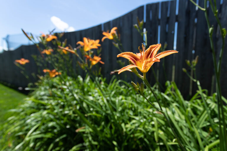 How to Use Auto Exposure Bracketing (AEB) on Canon Cameras – One Hour ...