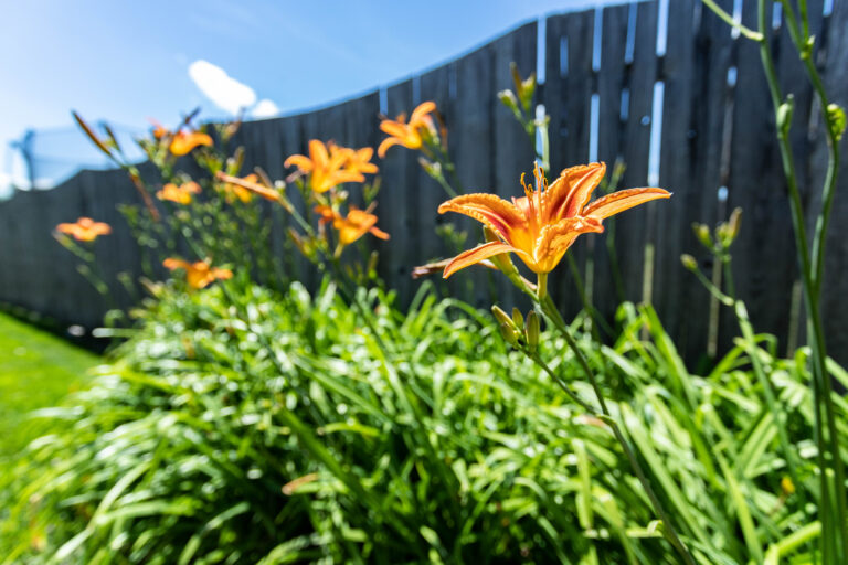 How to Use Auto Exposure Bracketing (AEB) on Canon Cameras – One Hour ...