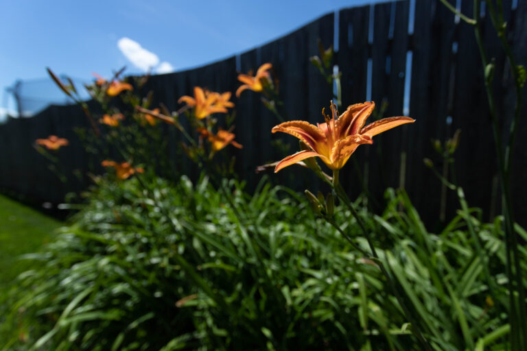 How to Use Auto Exposure Bracketing (AEB) on Canon Cameras – One Hour ...