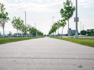 Perspective in Photography: A Complete Guide – One Hour Photography